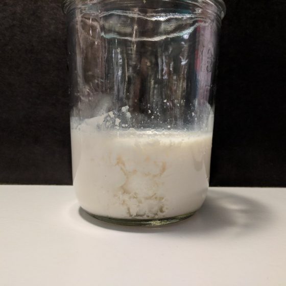 Make Homemade Kefir from Plant-Based Milk